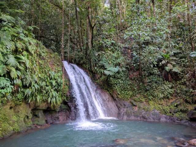 Cascade dans la forêt tropicale en Guadeloupe