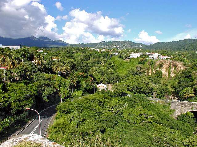 Guadeloupe végétation