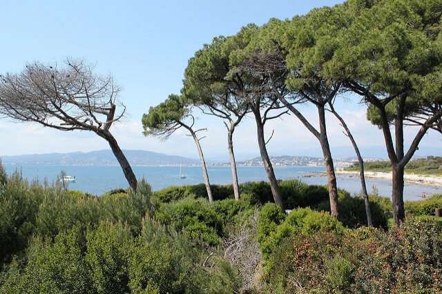 Iles de Lérins