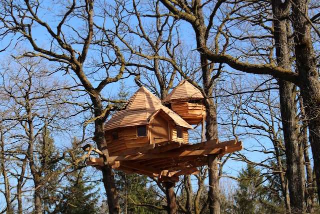 Cabane dans les arbres