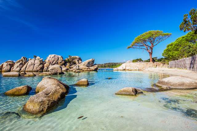 Plage Palombaggia à Porto Vecchio