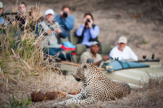 Touristes safari guide