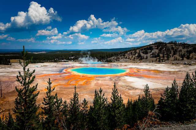 Grand Prismatic Spring Yellowstone Parc sapins ciel bleu