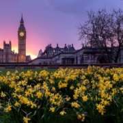 Vue de westminster à londres