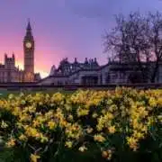 Vue de westminster à londres