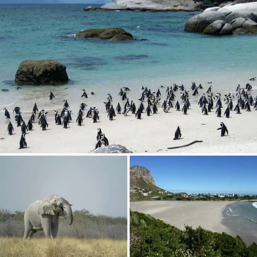 Plage Afrique du Sud 