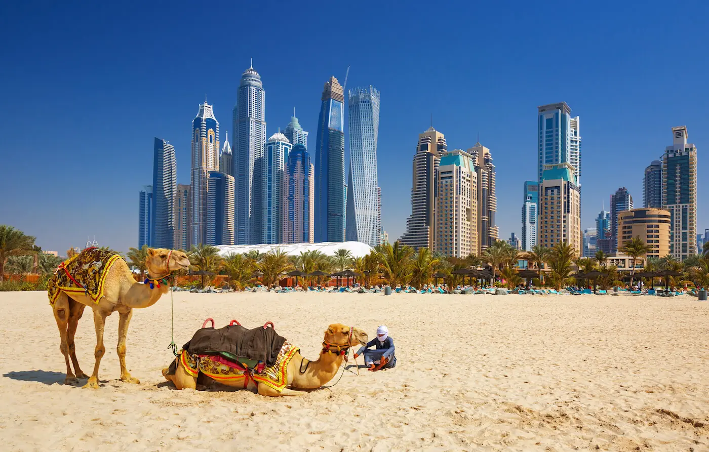 Chameaux Dubaï buildings sable palmiers