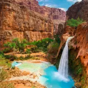 Grand canyon cascade bleu turquoise roche arbres