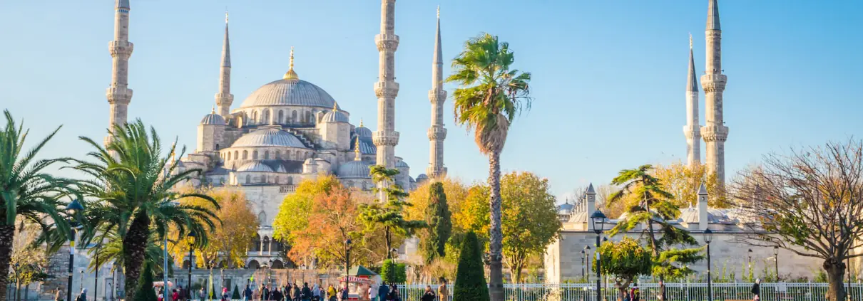 Mosquée bleue Istanbul Turquie palmiers ciel bleu