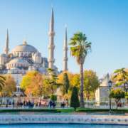 Mosquée bleue Istanbul Turquie palmiers ciel bleu