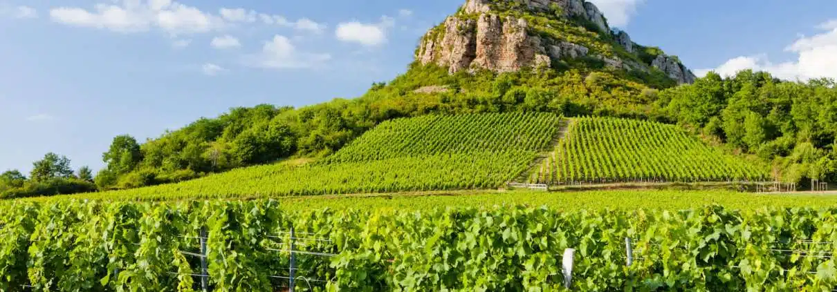 Roche vignobles verdures ciel bleu Bourgogne