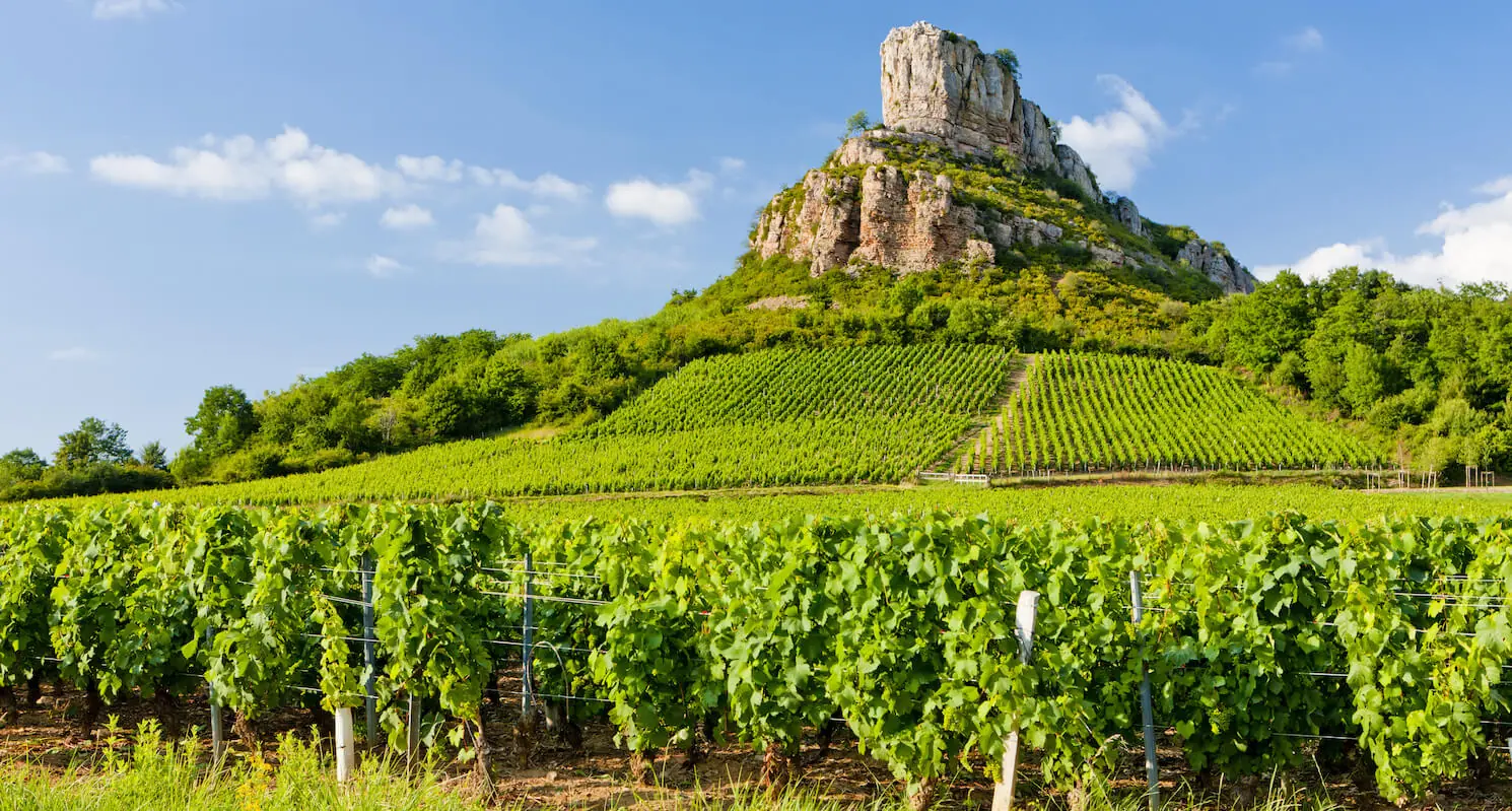 Roche vignobles verdures ciel bleu Bourgogne