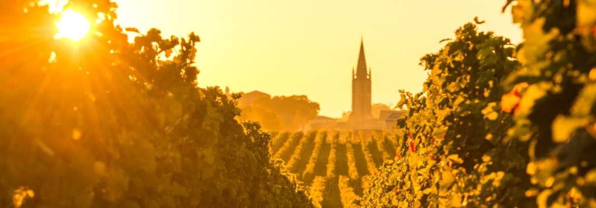 bordeaux-vignes-automne