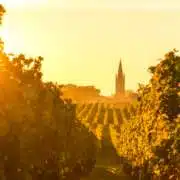 bordeaux-vignes-automne