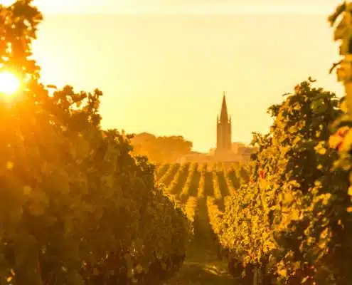 bordeaux-vignes-automne