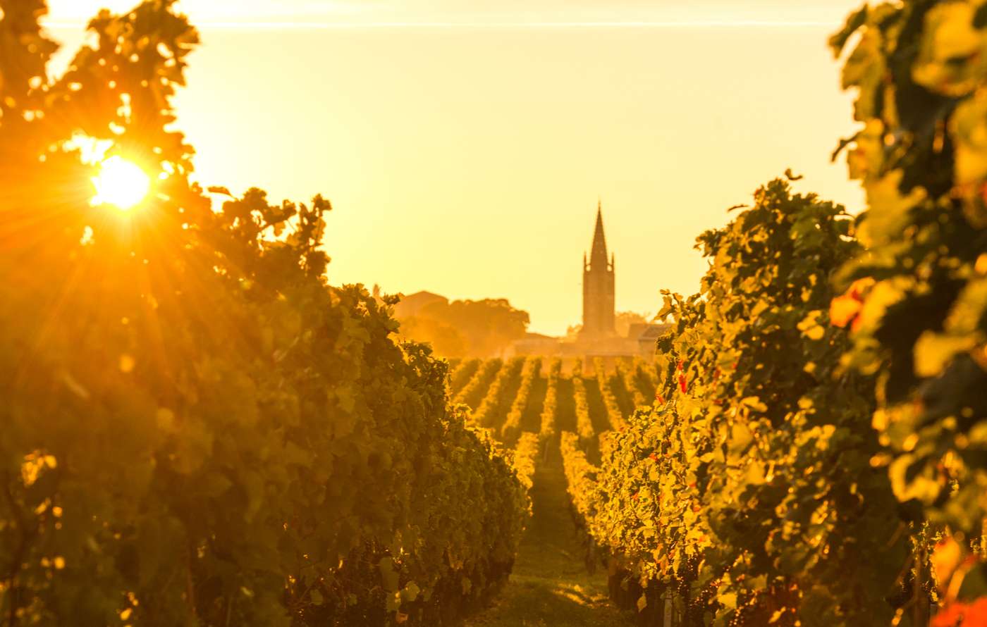 bordeaux-vignes-automne