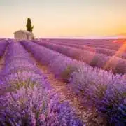 provence