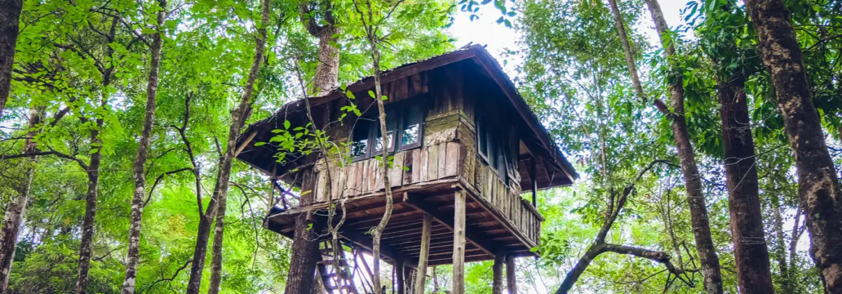 cabane-arbre-insolite-france