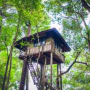 cabane-arbre-insolite-france