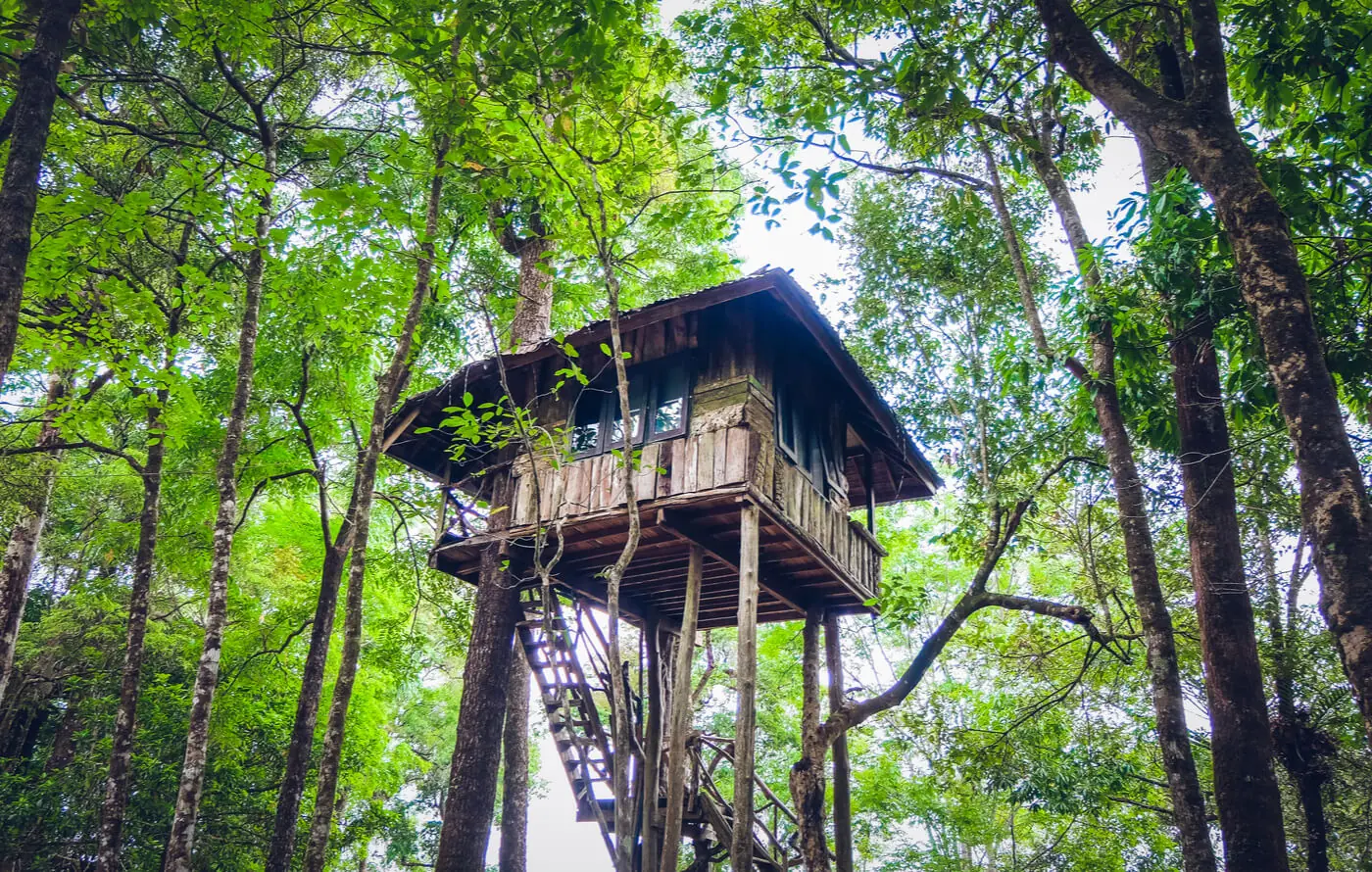 cabane-arbre-insolite-france